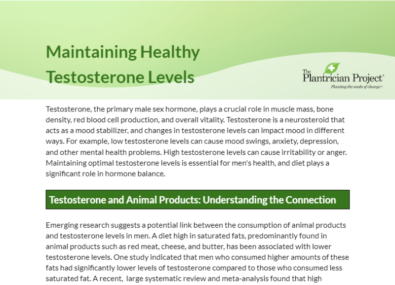 Maintaining Healthy Testosterone Levels - Plantrician Providers Directory