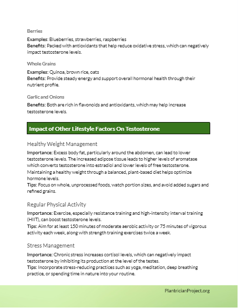 Maintaining Healthy Testosterone Levels - Plantrician Providers Directory