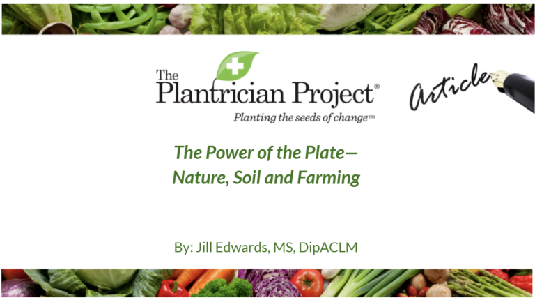 The Power of the Plate (3)- Nature, Soil and Farming - Plantrician ...