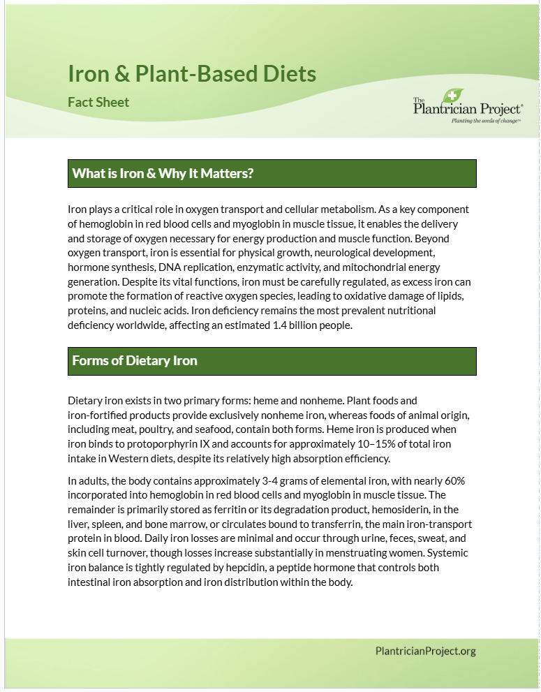 Iron & Plant-Based Diets Fact Sheet - Plantrician Providers Directory